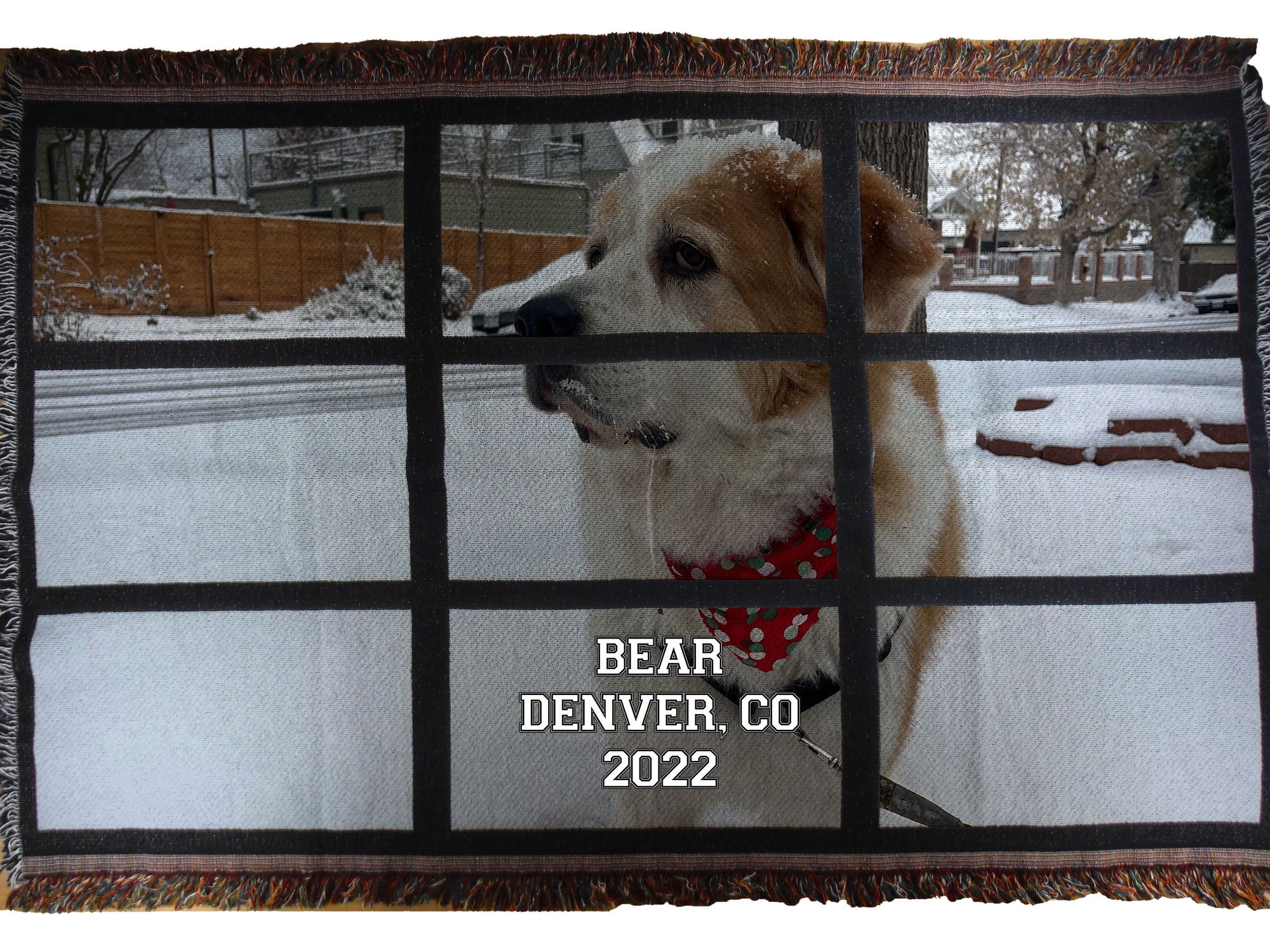 Nine Panel PET MURAL Photo Blanket – Custompressions